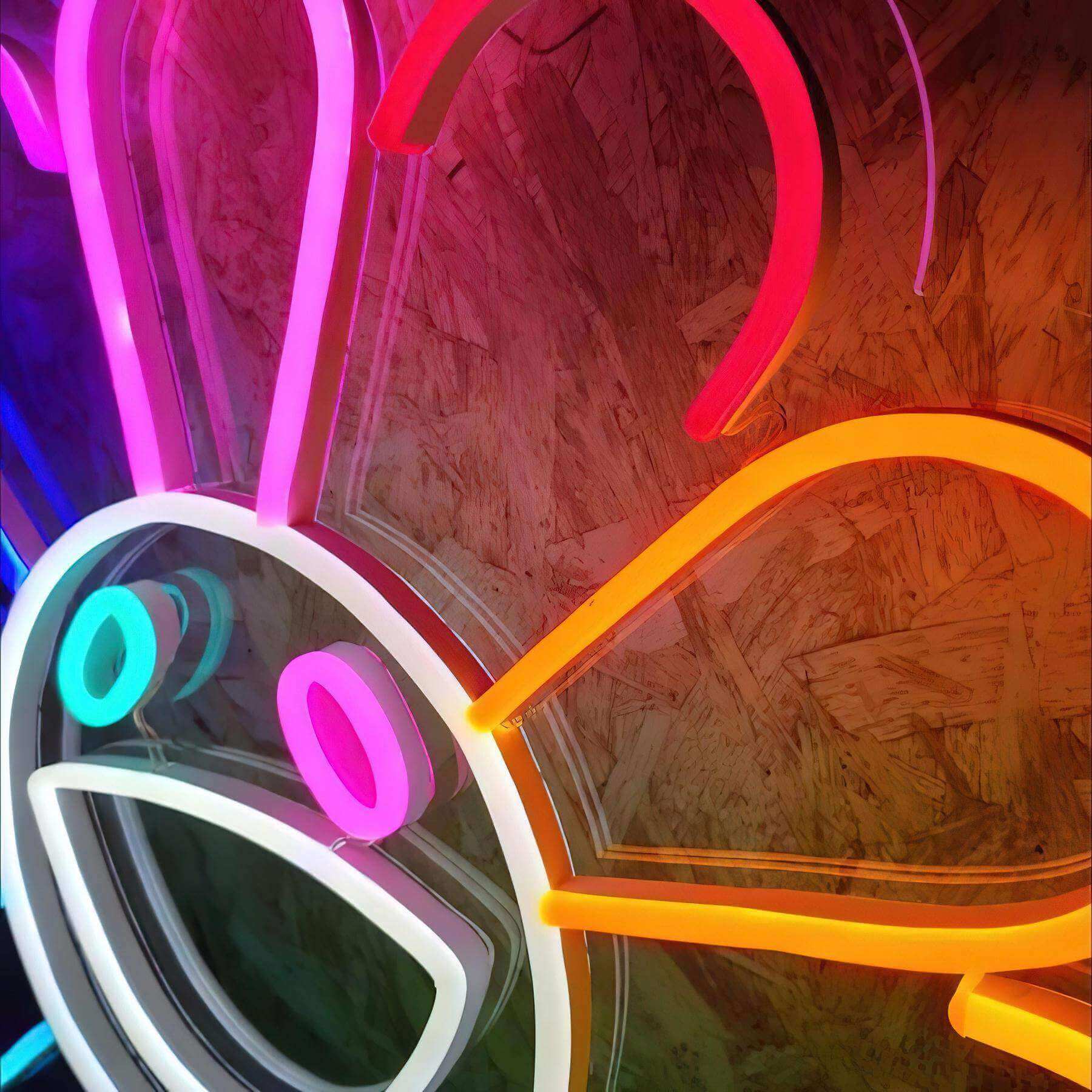 Neon Led Fleur Colorée Flower par Takashi Murakami : Apportez de la ...